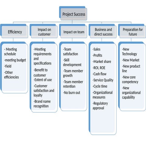 project success.by shenhar and dvir reinventing project management | PPTX