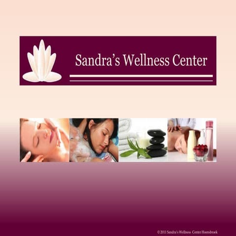 Presentatie sandra's wellness center 2011 | PPTX