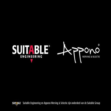 Presentatie Suitable Engineering & Appono Werving & Selectie | PDF ...