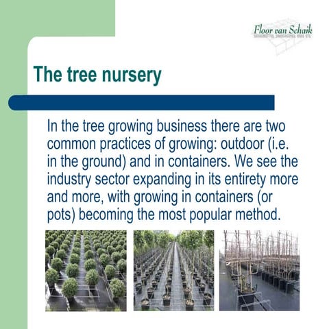 Presentatie tree nursery en | PPT