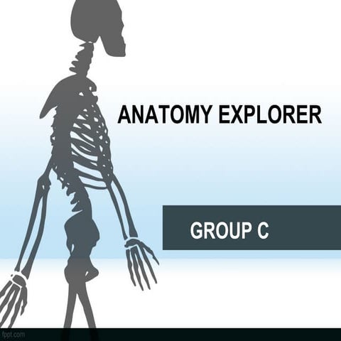 Anatomy Explorer | PPT