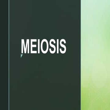 meiosis and its processes: a step by step | PPTX