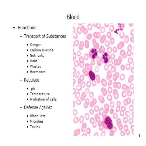 Presentation | PPT | Blood Disorders | Diseases and Conditions