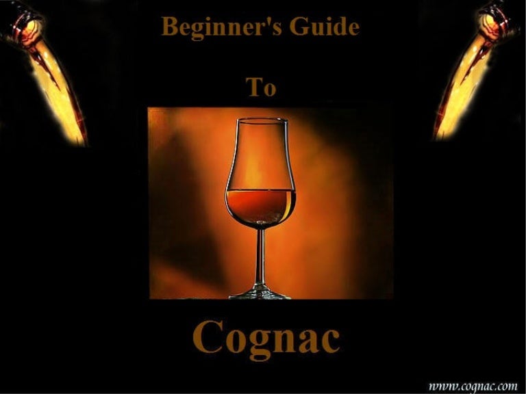 Beginner's Guide To Cognac Beginner's Guide To Cognac