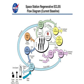 Genius hour project by Tyler | PPT