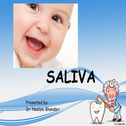 saliva | PPT
