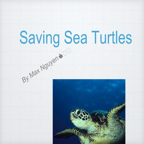 Saving Sea Turtles | PPTX | Reptiles | Pets