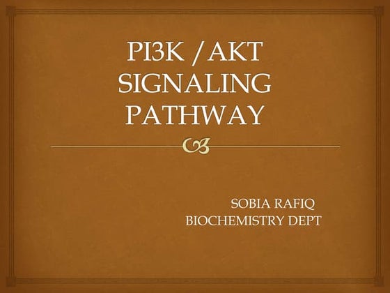 Pi3k akt signaling pathway | PDF | Endocrine and Metabolic Diseases | Diseases and Conditions