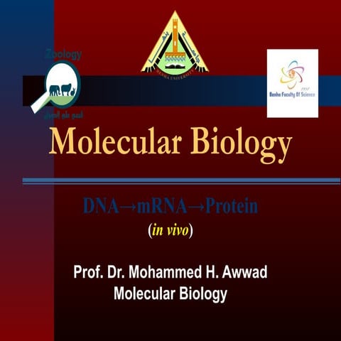 Molicular Biology | PPT