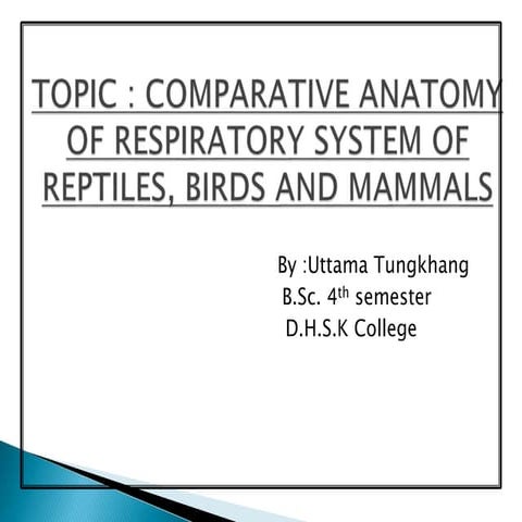 Respiratory system of pigeon | PPTX