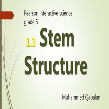 Stem Structure grade 6 Science | PPTX