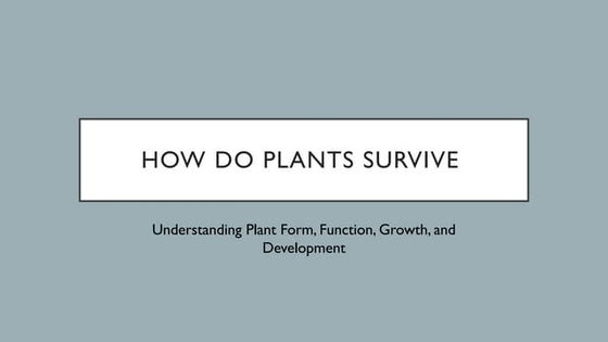 Plants 3rd grade | PPT