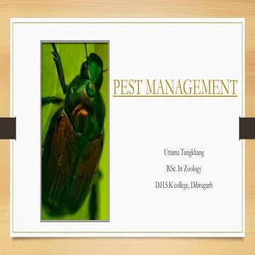 Pest management | PPTX