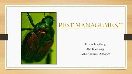 Pest control measures | PPT