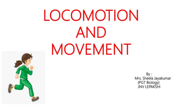 Locomotion and Movement Class 11th CBSE NCERT | PDF