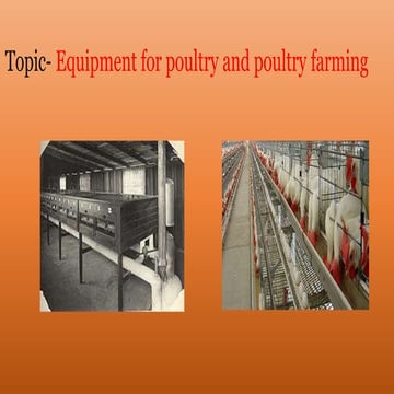 Common poultry farm tools | DOCX