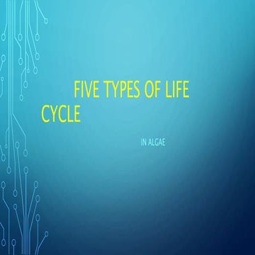 Life cycle of algae | PPTX