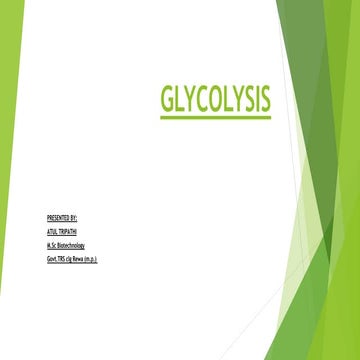 Glycolysis | PPTX