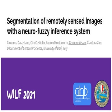 Segmentation Of Remotely Sensed Images With A Neuro Fuzzy Inference