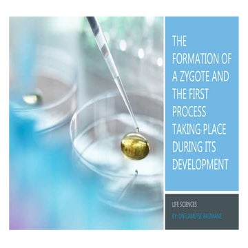 The development of a zygote | PPTX