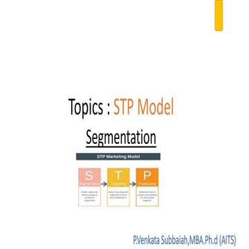 Segmentation Targeting Positioning Stp Pptx