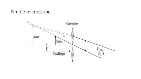Compound microscope | PPT