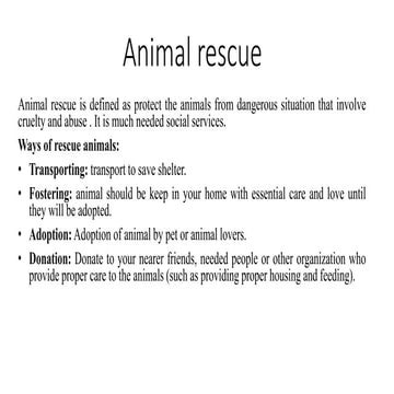 ANIMAL RESCUE | PPTX