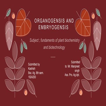 Embryogenesis and organogenesis Presentation.pptx