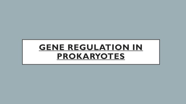 Regulation of Gene Expression in Prokaryotes | PPTX