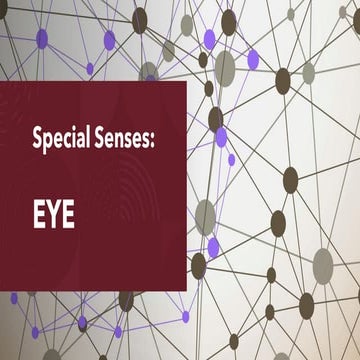Anatomy of visual pathways an eye presentation | PPT