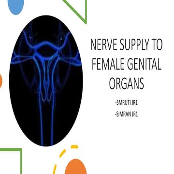 Nerve supply to female genital organs | PPTX
