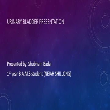 Urinary bladder (Anatomy) | PPTX