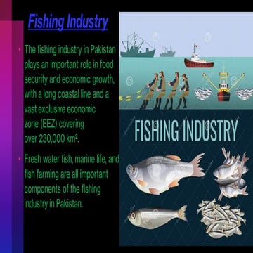 Fishing industry in pakistan | PPTX