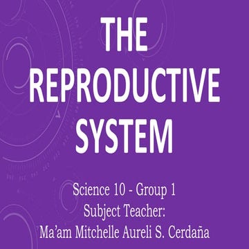 Female Reproductive System Grade 10 - PPT | PPTX
