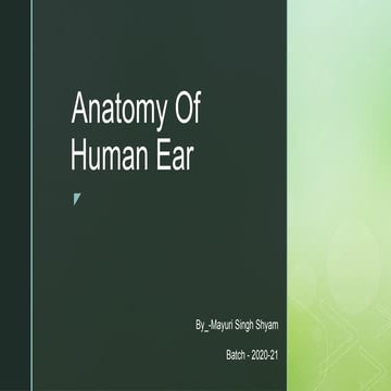 Presentation.pptx antonyms of human ear | PPTX