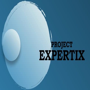 Experis 1st Presentation on business overview | PPTX