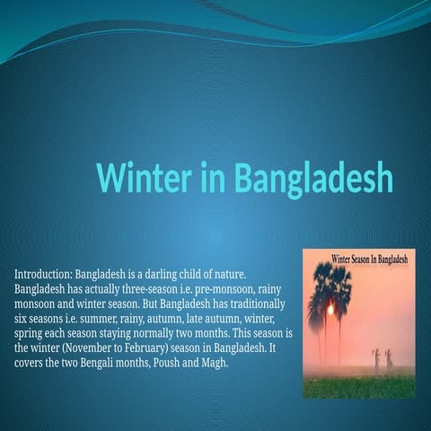 Winter in Bangladesh winter of BD . Seasons | PPTX