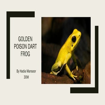 Golden_Poisonous_Dart_Frog_Amphibian.pptx