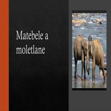 Matebele a Moletlane (Morero wa “ba baka Mohu”) | PPTX