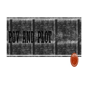 Point of view and plot Presentation.pptx