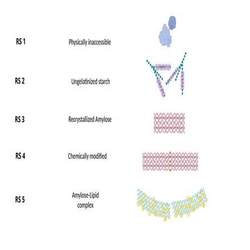 types of form of strachs geletinised starch and Type 1 to 5.pptx