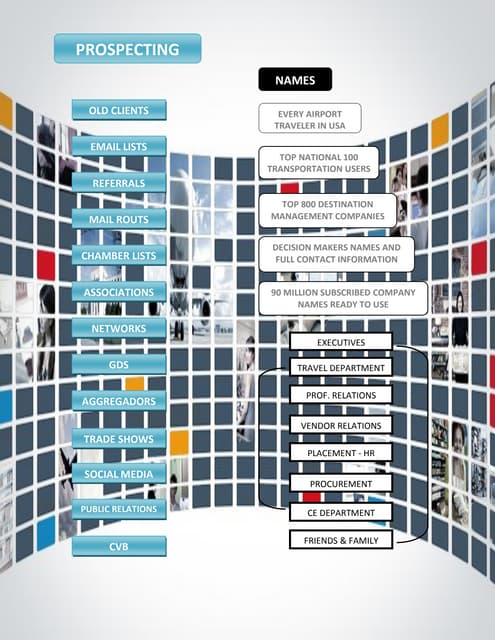 Squidiverse - Digital flow chart | PPT