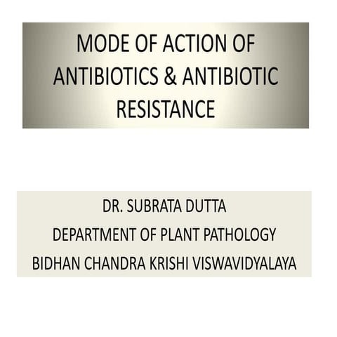 Presentation-antibiotics (PP503).ppt