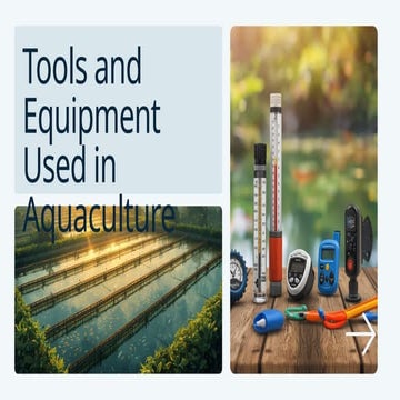 Presentation - Basic Tools and Equipment_20251027_091432_0000.pptx
