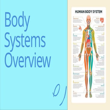 Presentation - Body Systems Overview.pptx