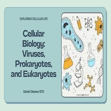 Presentation - Cellular Biology Viruses, Prokaryotes, and Eukaryotes | PDF