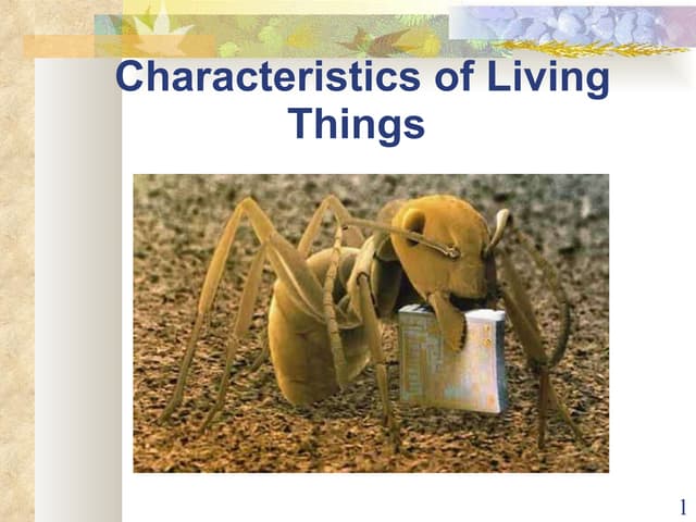Characteristics of Living Organism | PPT