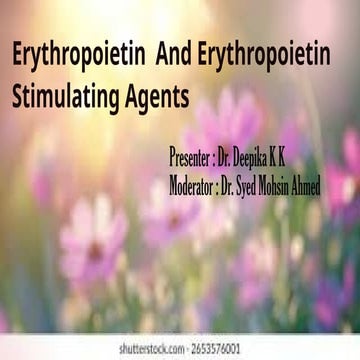 Presentation - Erythropoietin Overview.pptx