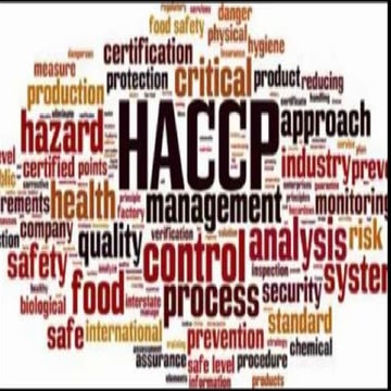 Development of HCP Risk Management Plan | PDF