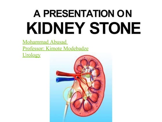 Presentation kidney-stone final | PPTX